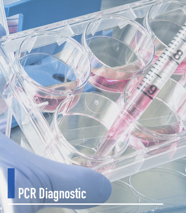 PCR Diagnostic - Swine