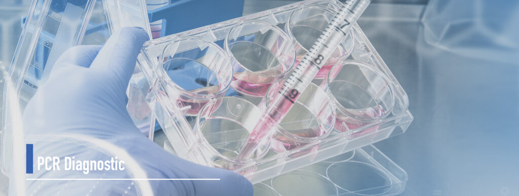 PCR Diagnostic - Swine